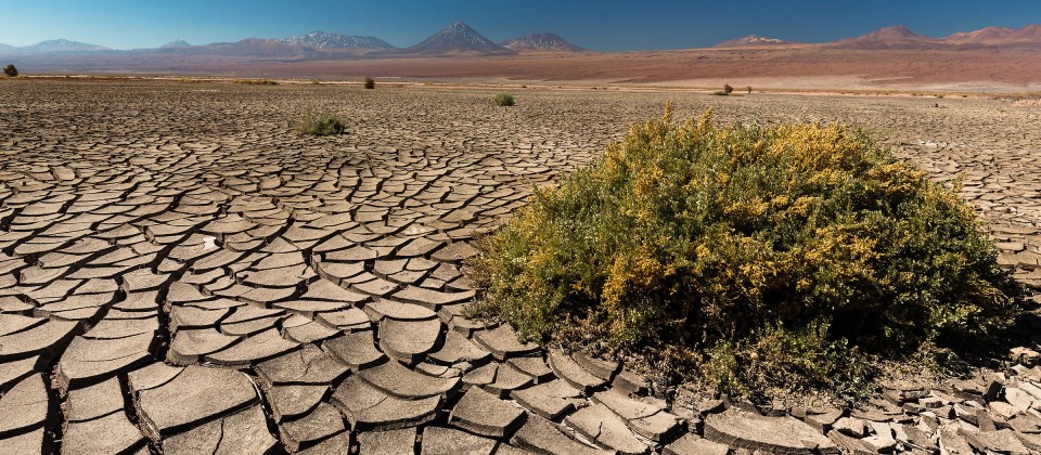 Sostegno per Terreni Aridi | Naturalbiochar.com